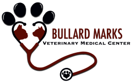 Bullard Marks Veterinary Medical Center – Your Family Veterinarian in ...