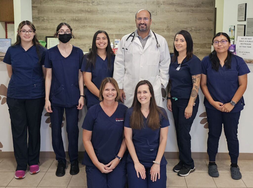Bullard Marks Veterinary Medical Center – Your Family Veterinarian in ...